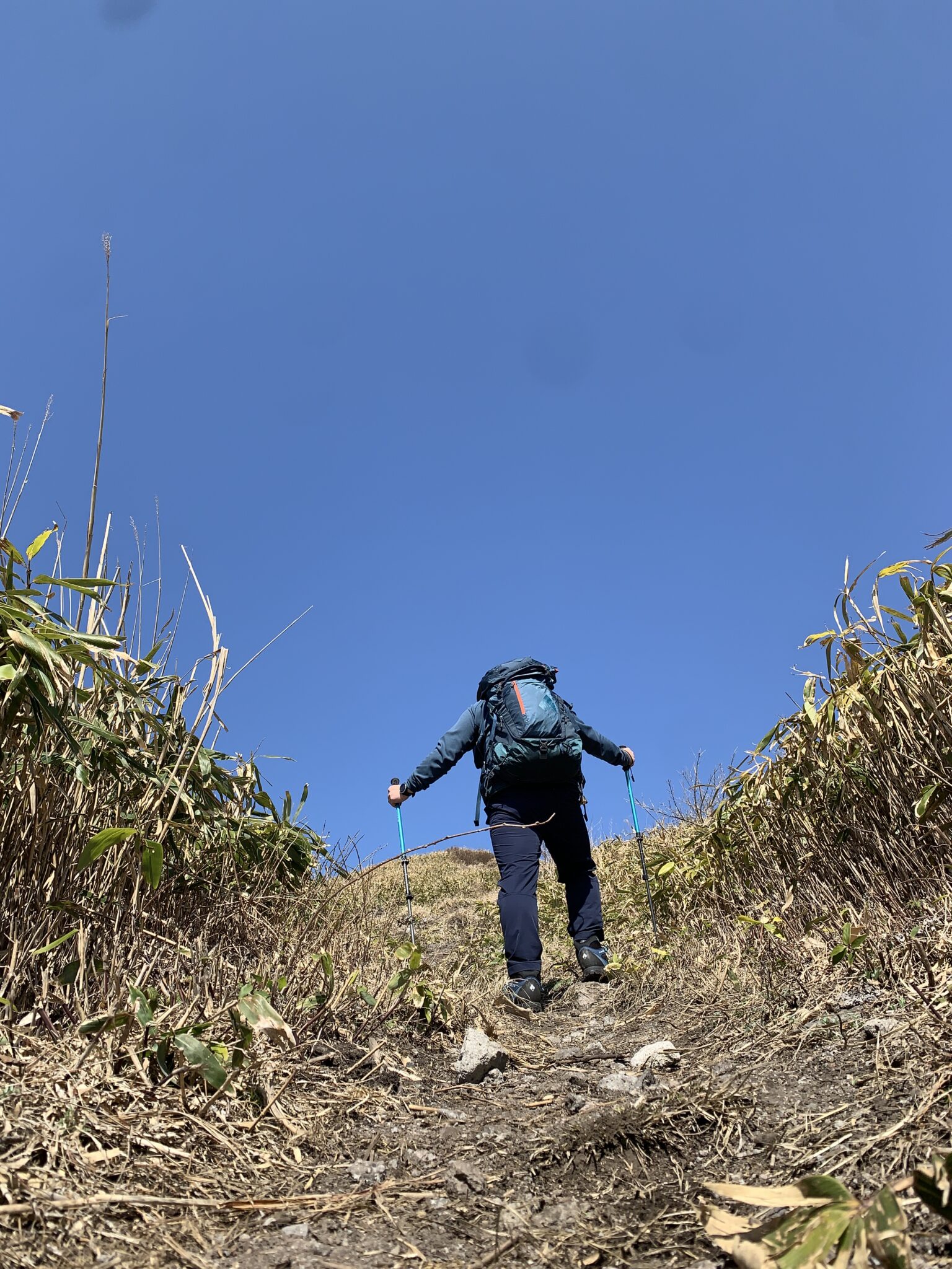 トレッキングポールを使ったら登山が楽しくなった話 | SlowPeak登山