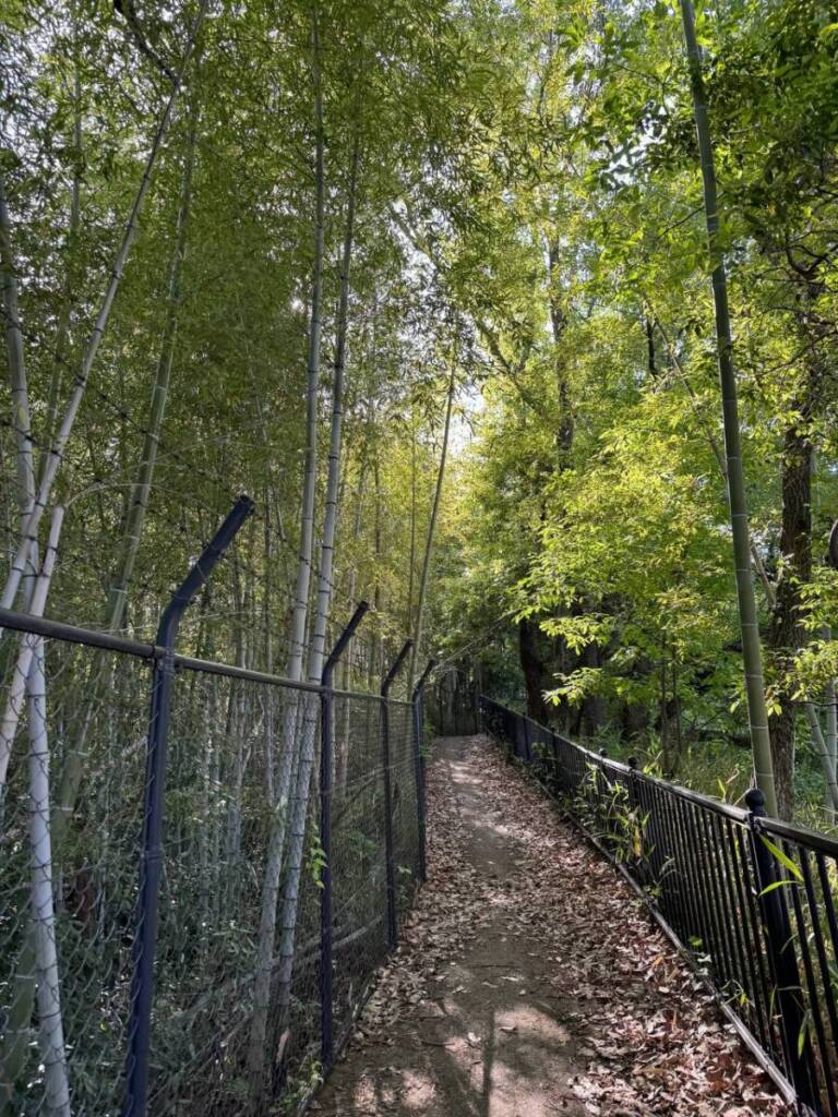 【登山日記】星田60連山に挑戦!! YAMAPを使いこなしが必要です | SlowPeak登山